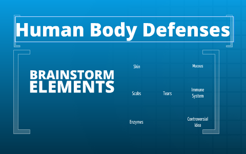 Human Body Defenses Against Pathogens by Trey Basa on Prezi