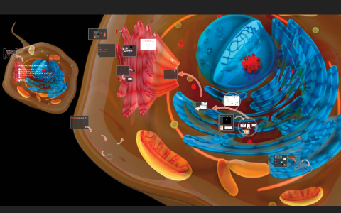 TRANSPORTE VESICULAR INTRACELULAR by Blanca Rodríguez Fernández on Prezi