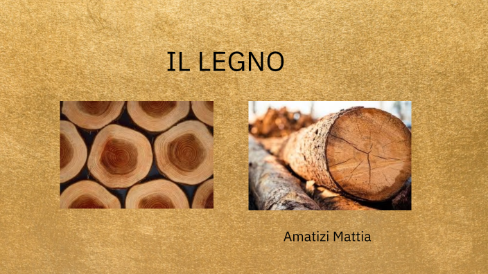 IL LEGNO by Mattia Amatizi on Prezi