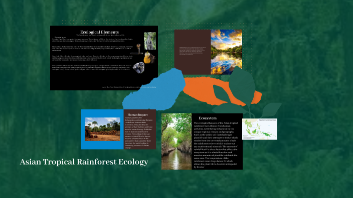Asian Tropical Rainforest Ecology by Miseal Talavera on Prezi