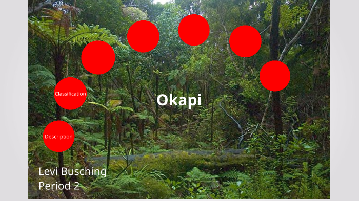 Okapi Presentation by Levi Busching on Prezi