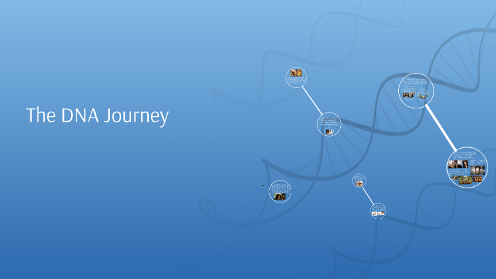 The DNA Journey by aliona caradjova on Prezi