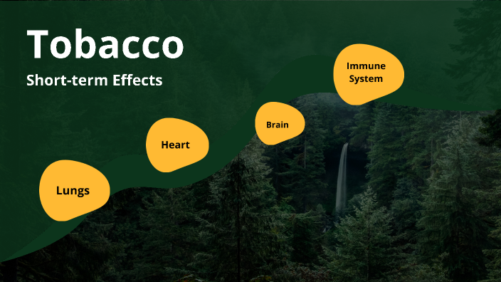 Tobacco-short term effects by Aaron Attebery on Prezi