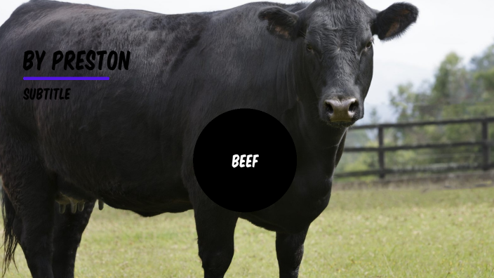 Beef by Preston Pederson on Prezi