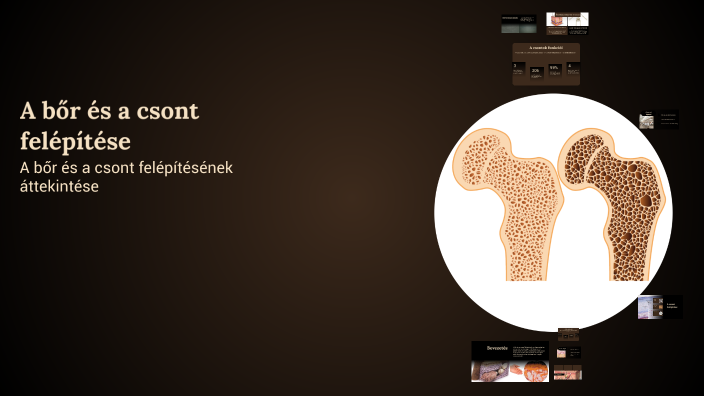 A bőr és a csont felépítése by Erik Kovács on Prezi