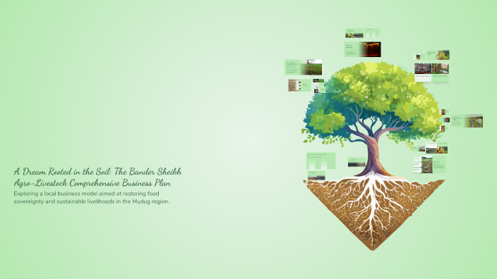 A Dream Rooted in the Soil: The Bander Sheikh Agro-Livestock ...