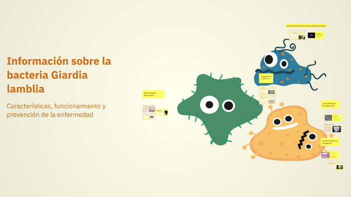 Información sobre la bacteria Giardia lamblia by daniel santamaria on Prezi