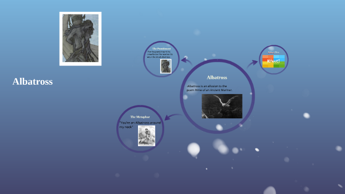 Albatross by Simon Kim on Prezi