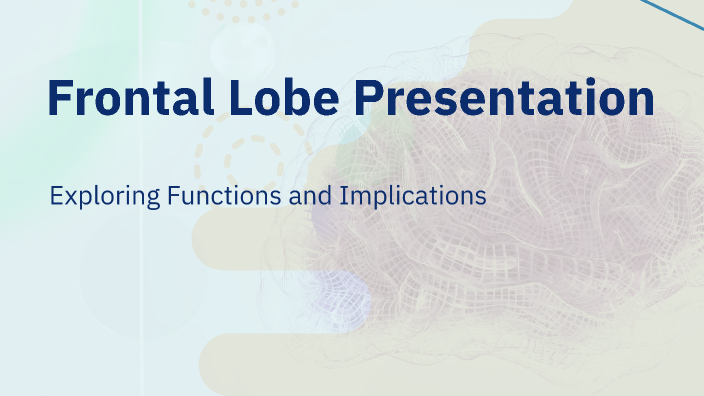 Frontal Lobe Presentation by Madi Frost on Prezi