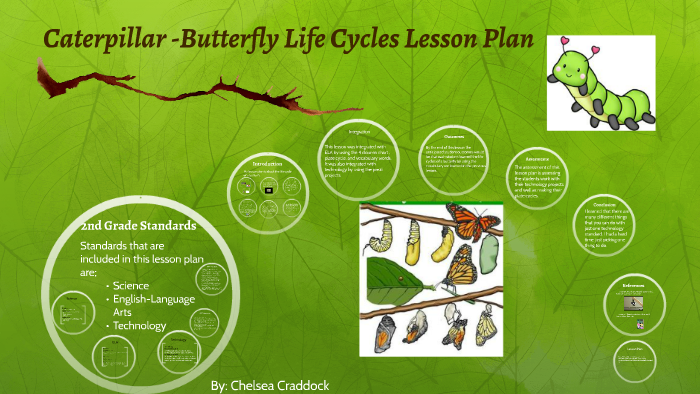Caterpillar Life Cycles Lesson Plan by Chelsea Craddock on Prezi