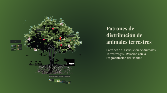 Patrones de distribución de animales terrestres by Jahdiel Daniel Perea ...