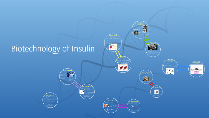 Biotechnology of Insulin by Ryan Duckett on Prezi