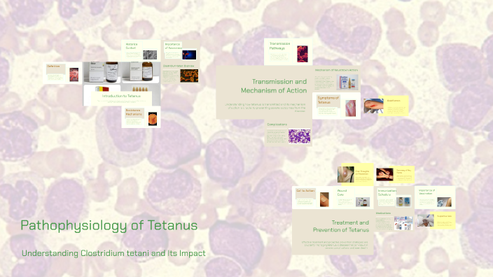Pathophysiology of Tetanus by Gunraj Singh on Prezi