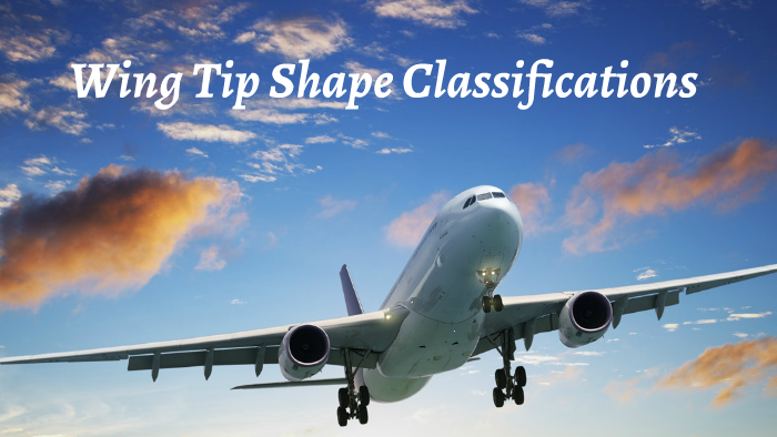 Wing Tip Shape Classifications by Karen Esperanza on Prezi