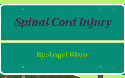 Spinal Cord Injury by angel rizor