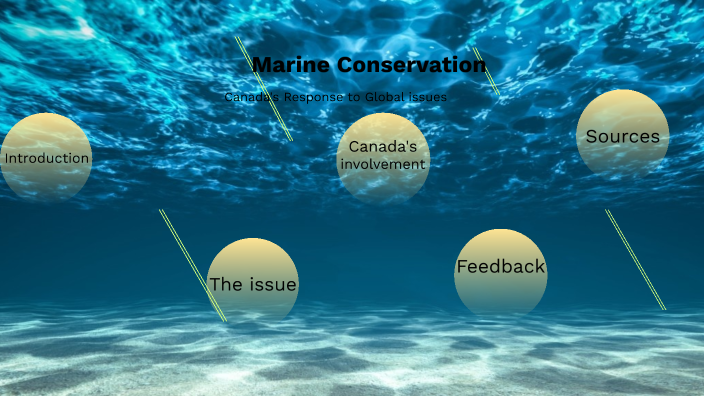Canada's Response to Global issues by Nishka Agarwal on Prezi