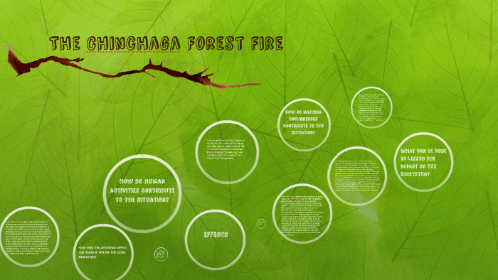 The Chinchaga Forest Fire by Grayce Poppe on Prezi
