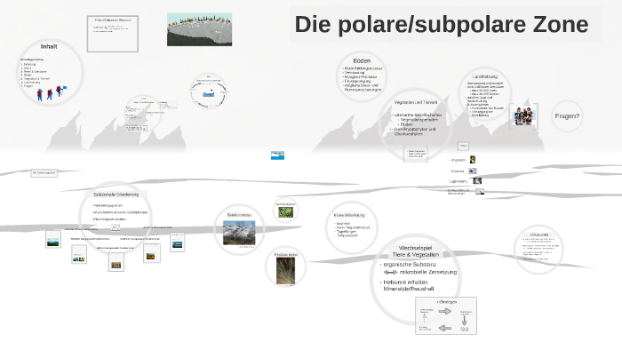 Die polare/subpolare Zone by Habib