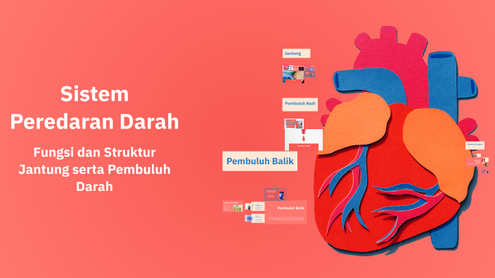 Sistem Peredaran Darah by Daud Sihombing on Prezi