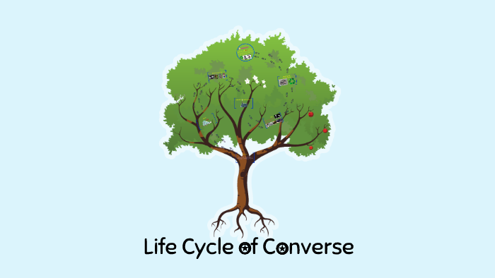Life Cycle of Converse by Jenna Burge on Prezi