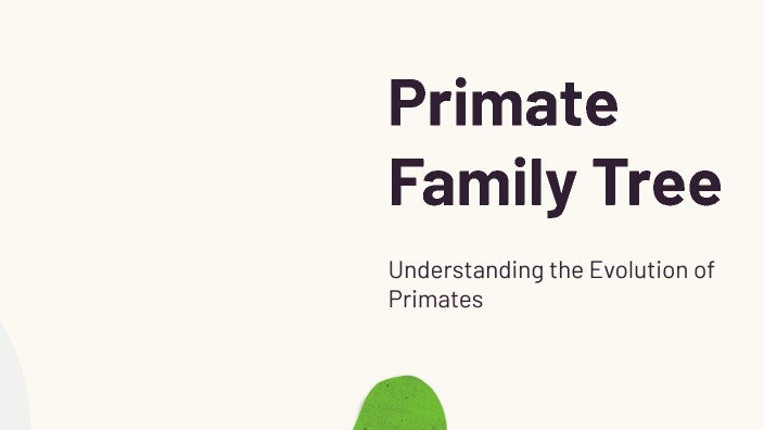 Primate Family Tree by Ave Bow on Prezi