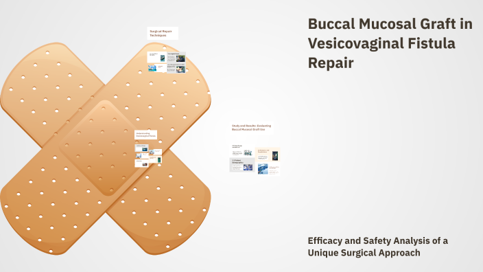 Buccal Mucosal Graft in Vesicovaginal Fistula Repair by Mohamed Ismail ...