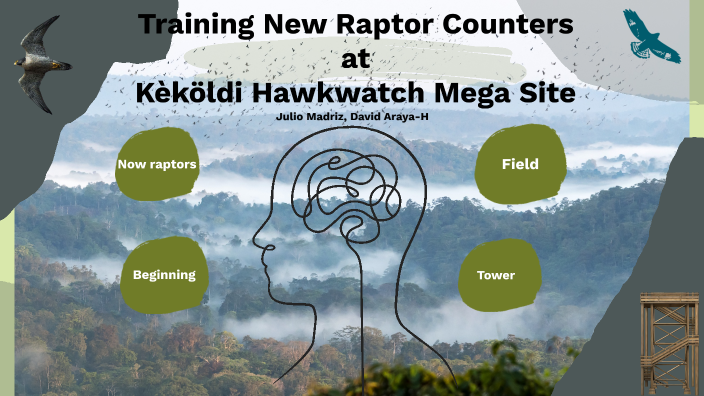 Training New Raptor Counters at I N T H E W O R K P L A C E by David Ah ...