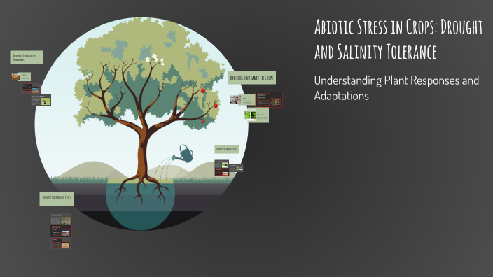 Abiotic Stress in Crops: Drought and Salinity Tolerance by Rihab Sebti ...