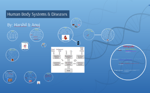 Human Body Systems & Diseases by Harshil Vyas on Prezi