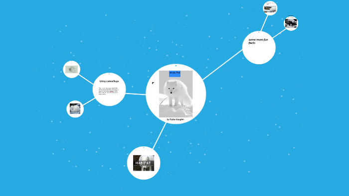 Arctic Fox By Katie By Jenny Hiott On Prezi