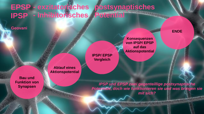 PL BIO by Bestcheker 24 on Prezi