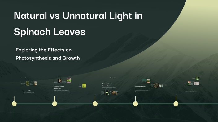 Natural vs Unnatural Light in Spinach Leaves by Olamide Adesina on Prezi