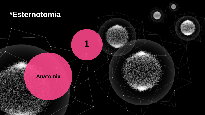 *Esternotomia by Danielle Castillo Navarrete on Prezi