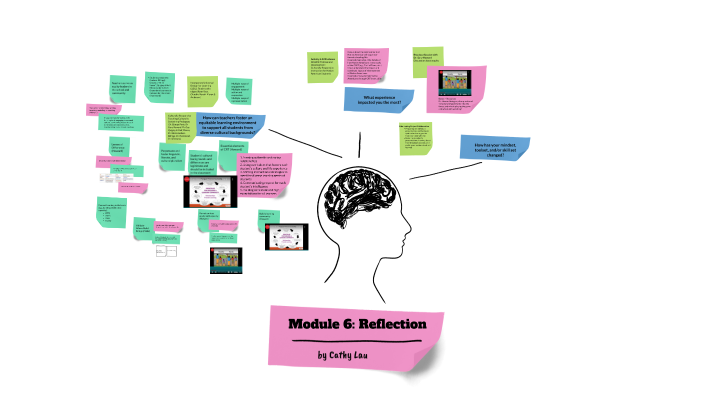 Module 6: Reflection by Cathy Lau on Prezi