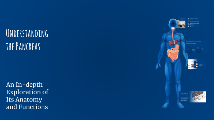 Understanding the Pancreas by Paige Matts on Prezi