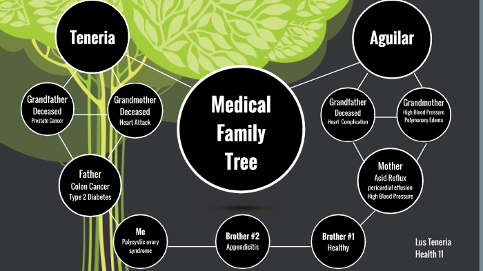 Medical Family Tree by Lus Teneria on Prezi
