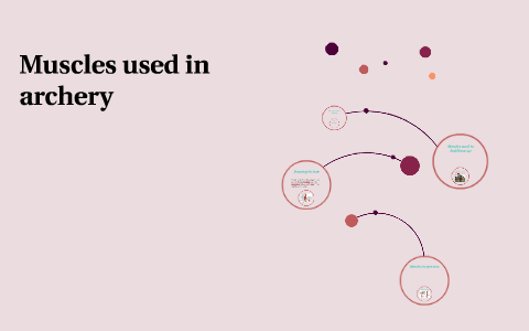 Muscles used in Archery by saul arcile on Prezi