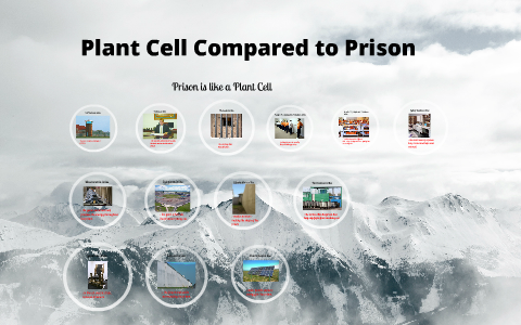 Cell Simile Project by Adarius Williams on Prezi