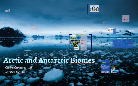 Arctic and Antarctic Biomes by Claire Caringal on Prezi