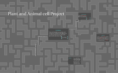 Plant and Animal cell Project by Seth Campbell on Prezi
