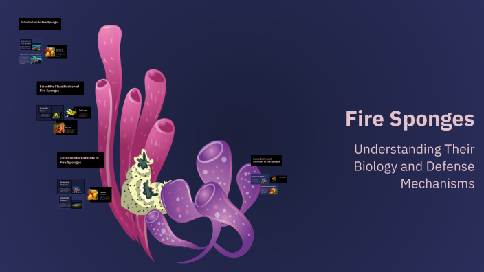 Fire Sponges by Zhane Pulley on Prezi