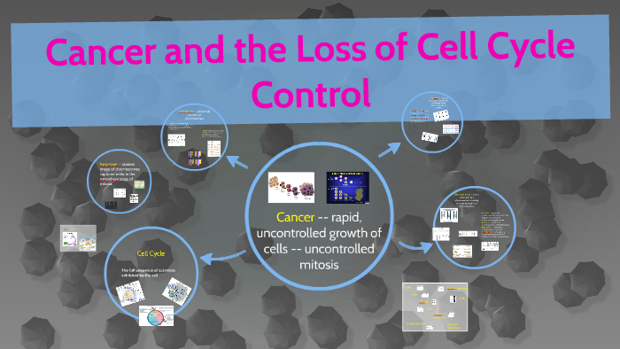 Cancer and the Loss of Cell Cycle Control by Pamela Stephens on Prezi