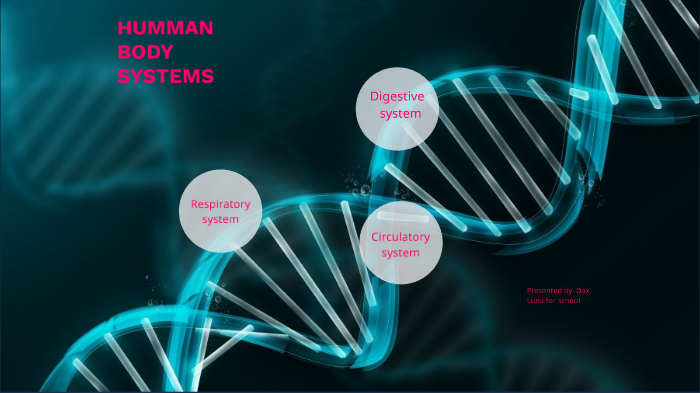 HUMMAN BODY SYSTEMS by Dax Luna on Prezi