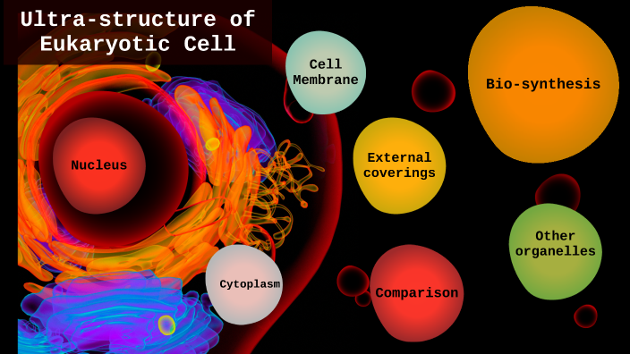 Ultrastructure of Eukaryotic Cell by Shivam kumar Sriwas on Prezi