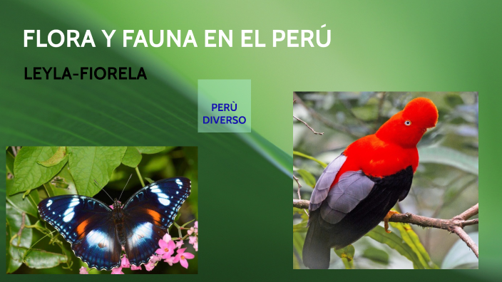 FLORA Y FAUNA EN EL PERU by leyla vilchez alvarado on Prezi