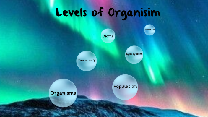 Levels of Organisms by Sarah Downey on Prezi