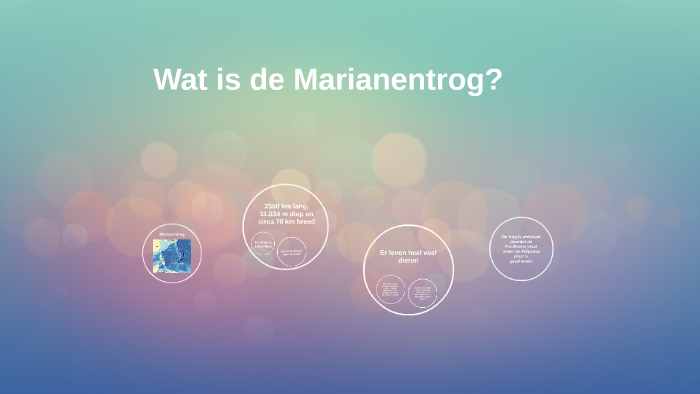 Wat is de Marianentrog? by Arina Greven on Prezi