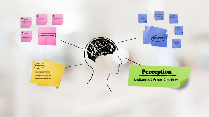 Perception: Limitations & Future directions by Noor Raslan on Prezi
