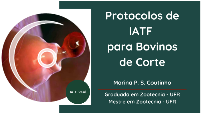 Protocolos de IATF para Bovinos de Corte by Marina Pereira Souza ...