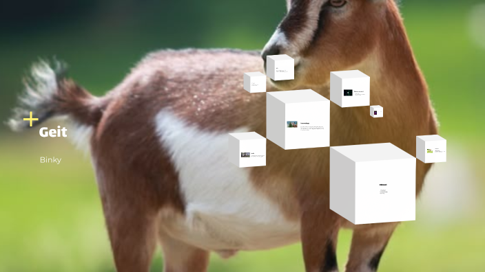 Inhoud: by Suheeb Saïd on Prezi